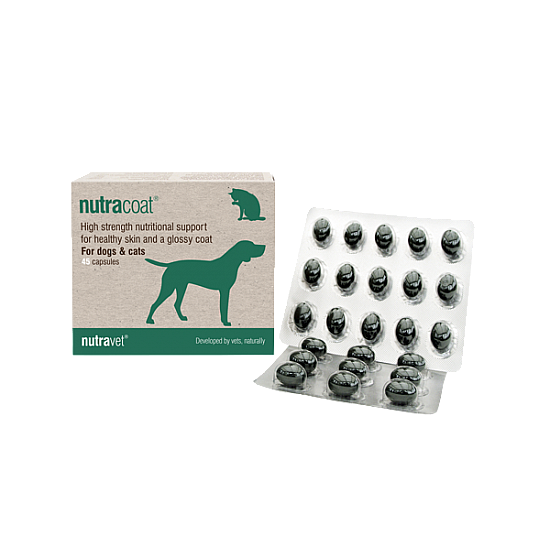 Nutravet Nutracoat 皮膚毛髮護理 營養膠囊 (貓狗合用) 每盒45粒膠囊