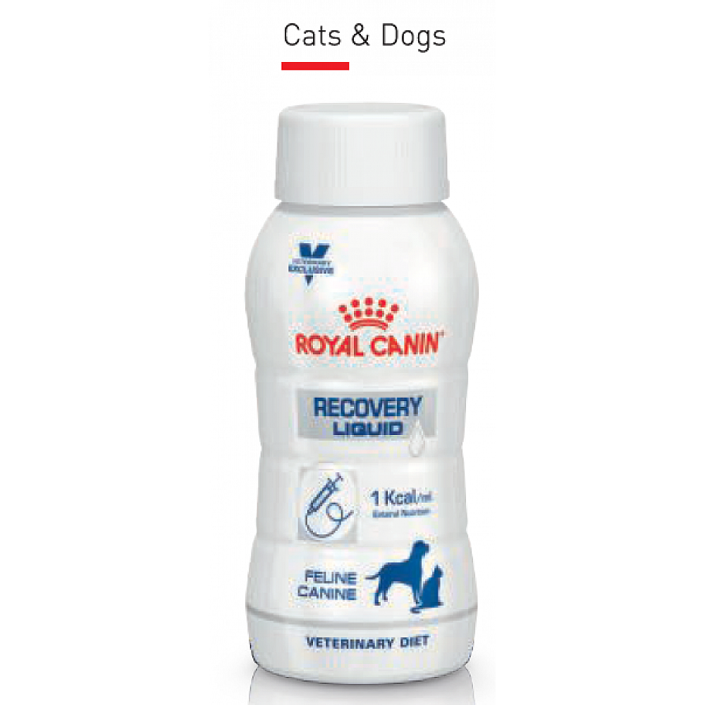 Royal Canin 重症康復營養液 貓狗適用 處方營養液體 200ml x 3支