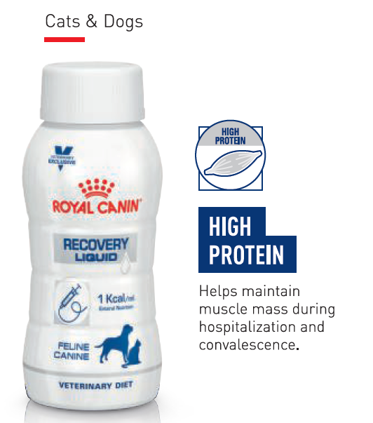 Royal Canin 重症康復營養液 貓狗適用 處方營養液體 200ml x 3支