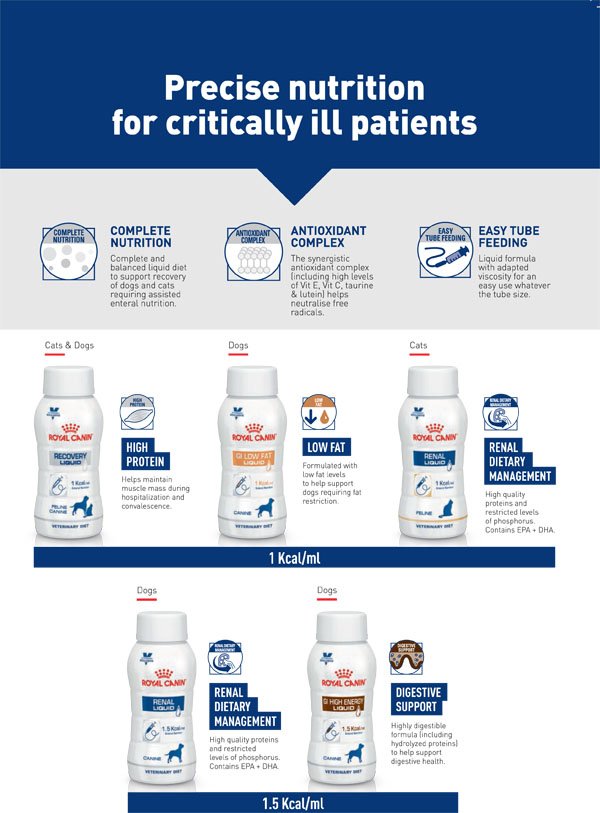 Royal Canin 狗用 腎臟處方 營養液體食品 200ml x 3支