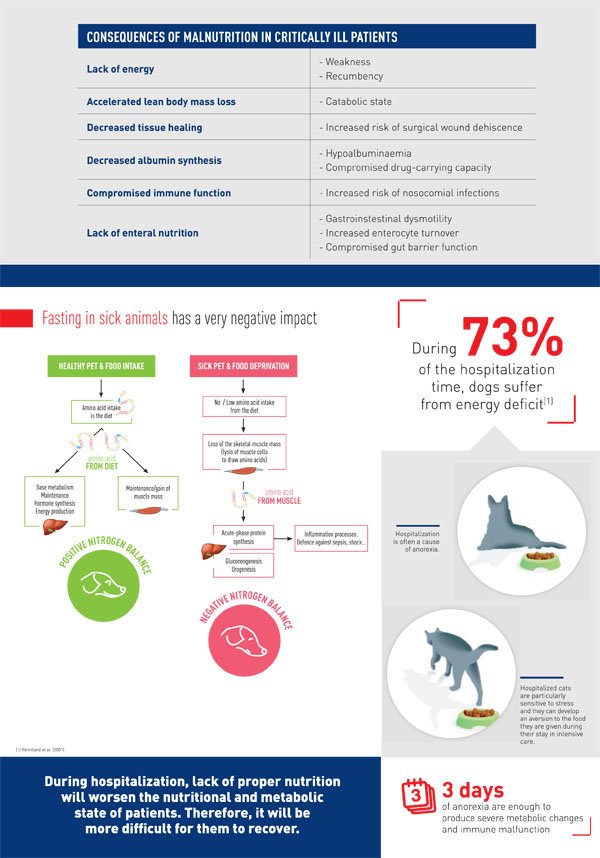 Royal Canin 重症康復營養液 貓狗適用 處方營養液體 200ml x 3支